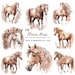 Flower Horse Clipart PNG Bundle 12 High Quality,watercolor Horse ...