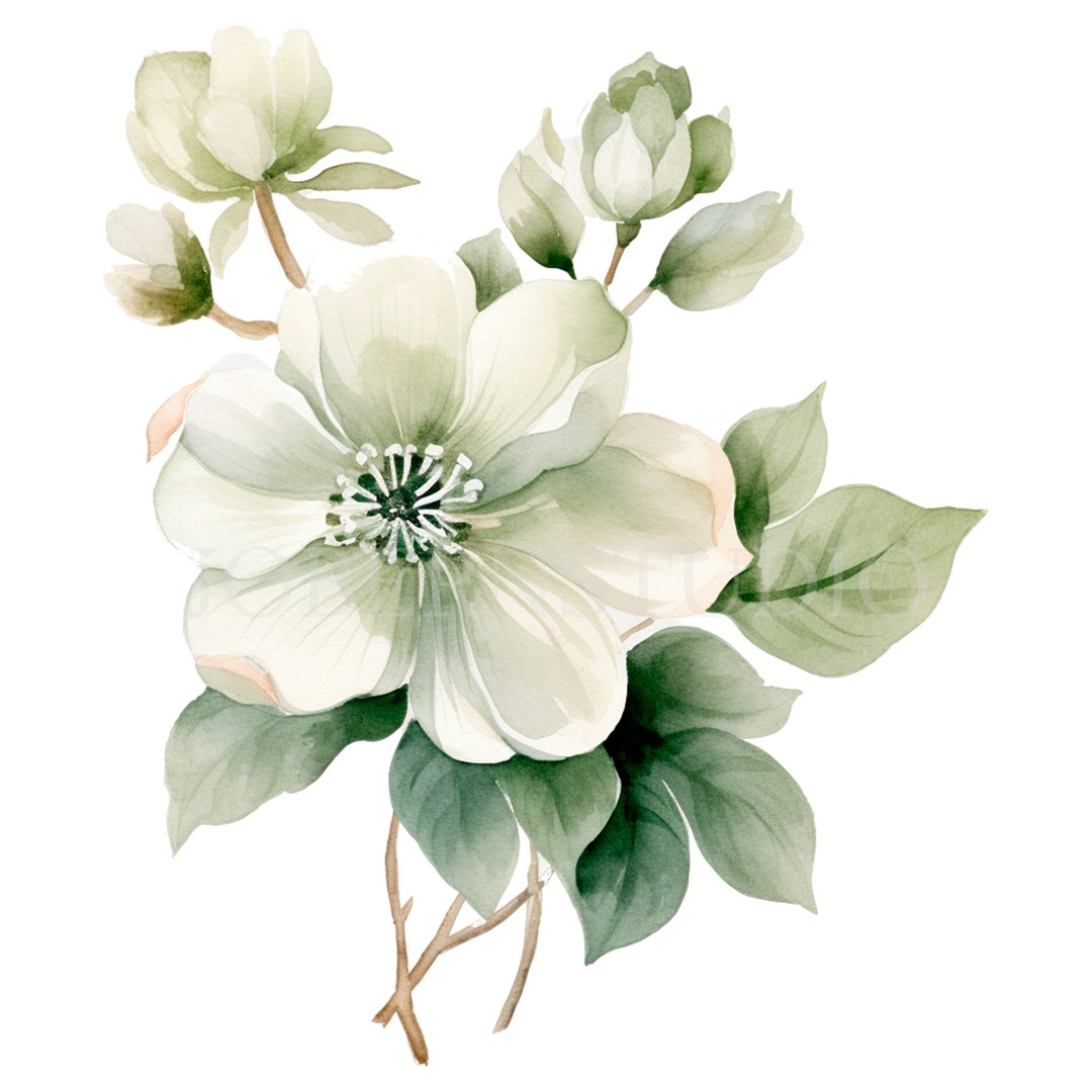 Green Flower Clipart Bundle 15 High Quality Png,watercolor Floral ...