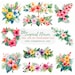 Tropical Garland Clipart Bundle 20 High Quality Png,watercolor Floral ...