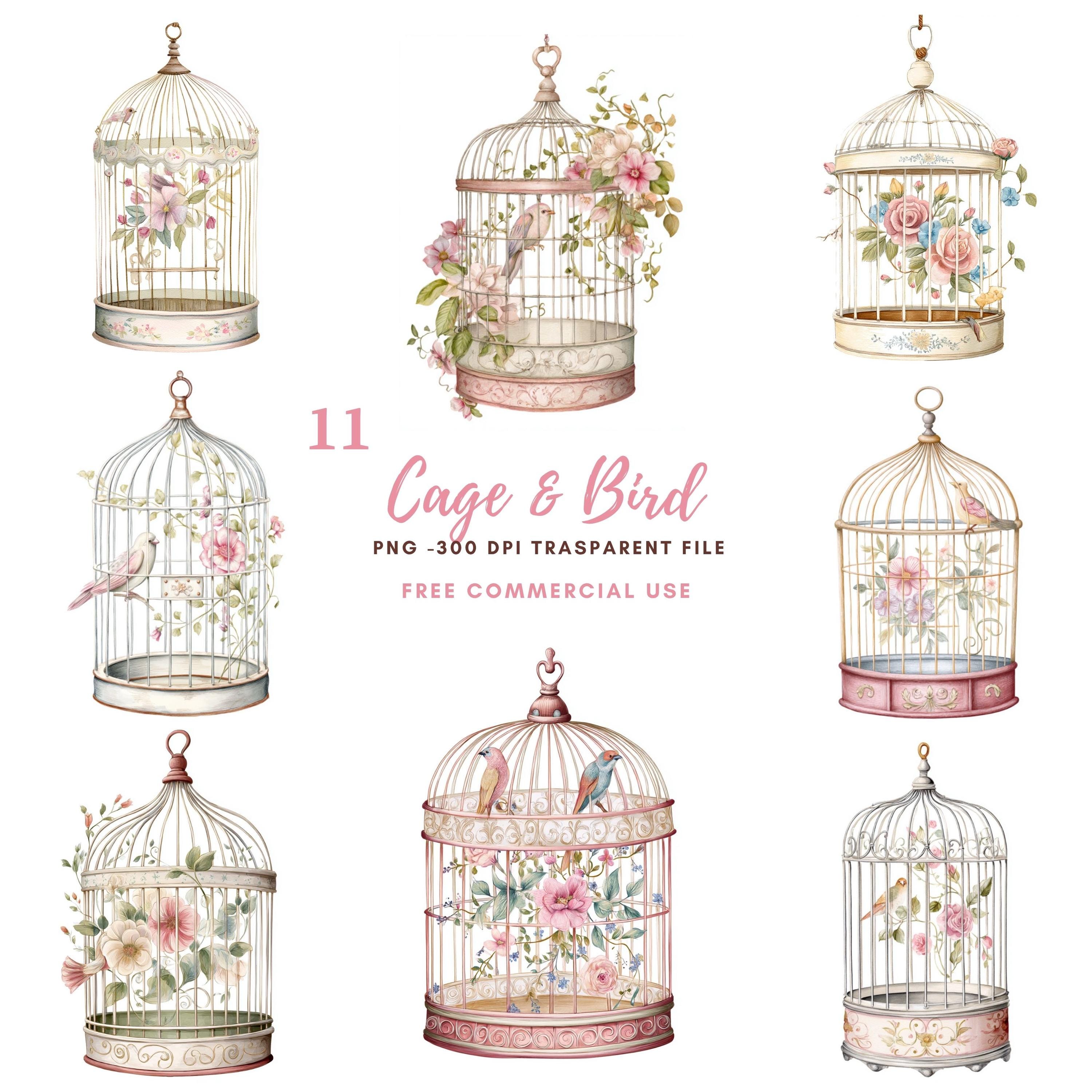 Cage and Bird Clipart PNG Bundle 11 High Quality PNG | Watercolor ...