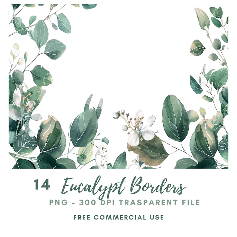 Eucalyptus Border,garland Clipart Bundle 14 High Quality Png,watercolor ...
