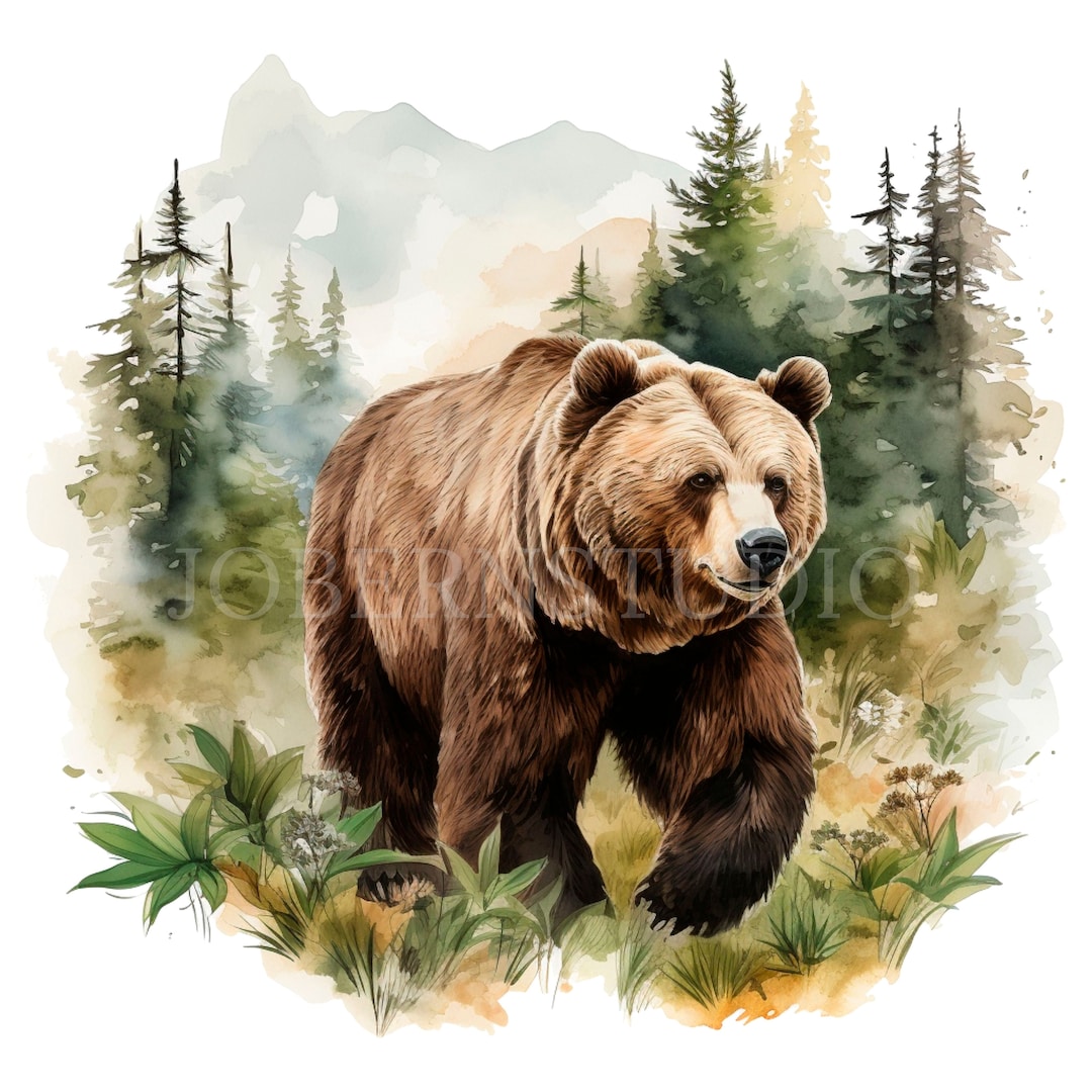 Brown Bear Forest Clipart Png,bundle 15 High Quality Jpg,digital ...