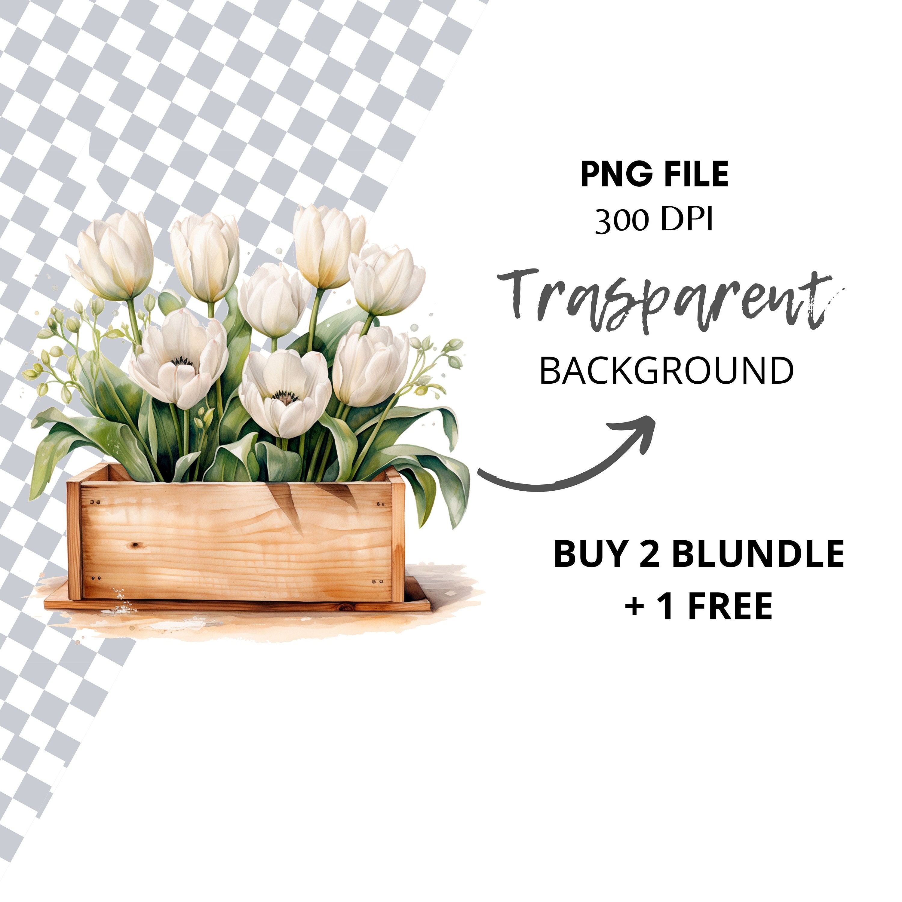 Tulips Flower Clipart Bundle 10 High Quality Png,watercolor White ...
