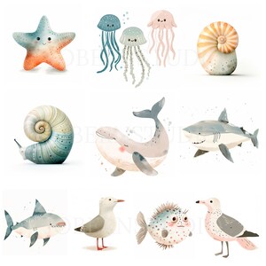 Undersea Clipart PNG, Bundle 37 High Quality,watercolor Sea Fish ...
