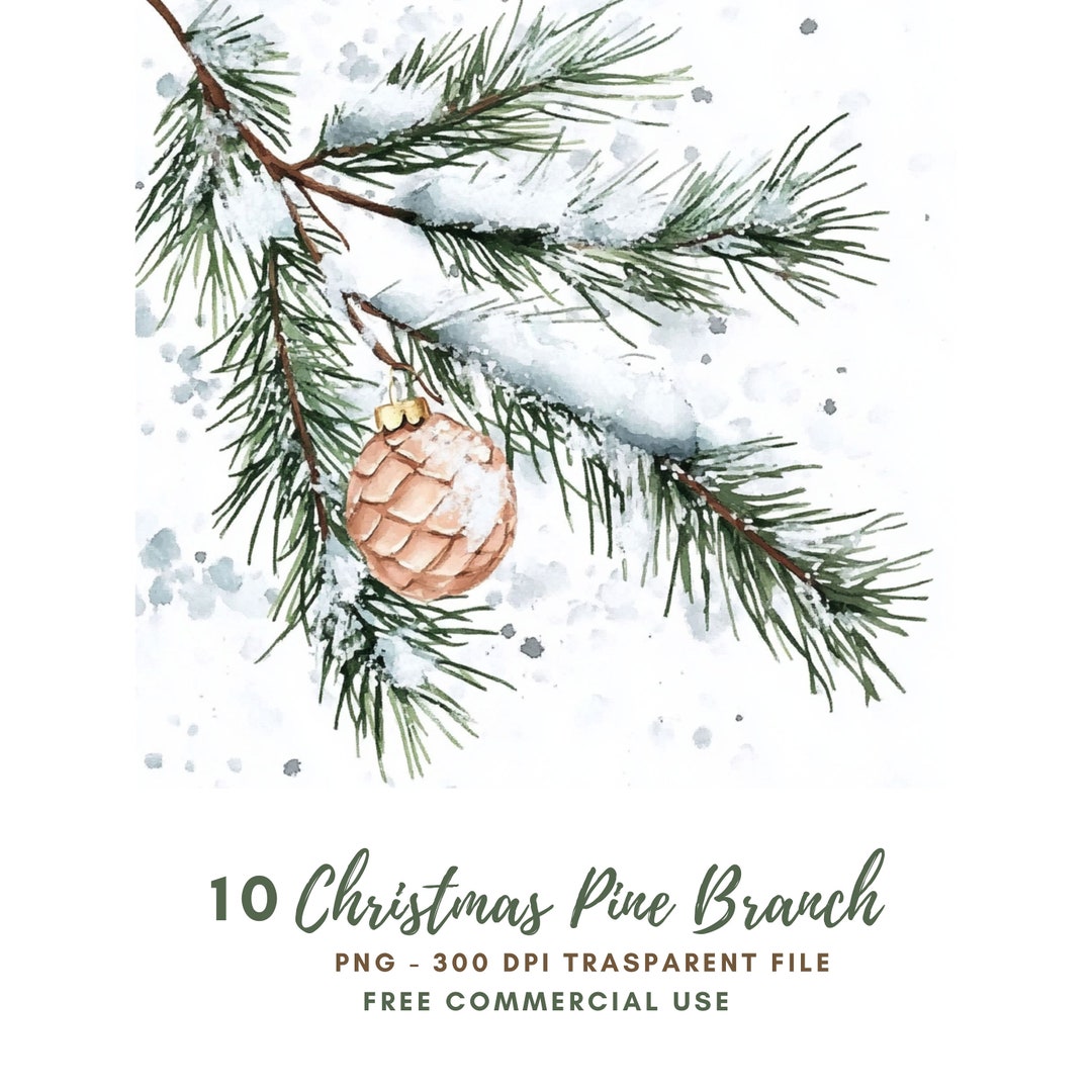 Christmas Pine Branch Clipart PNG Bundle 10, Watercolor Christmas Pine ...
