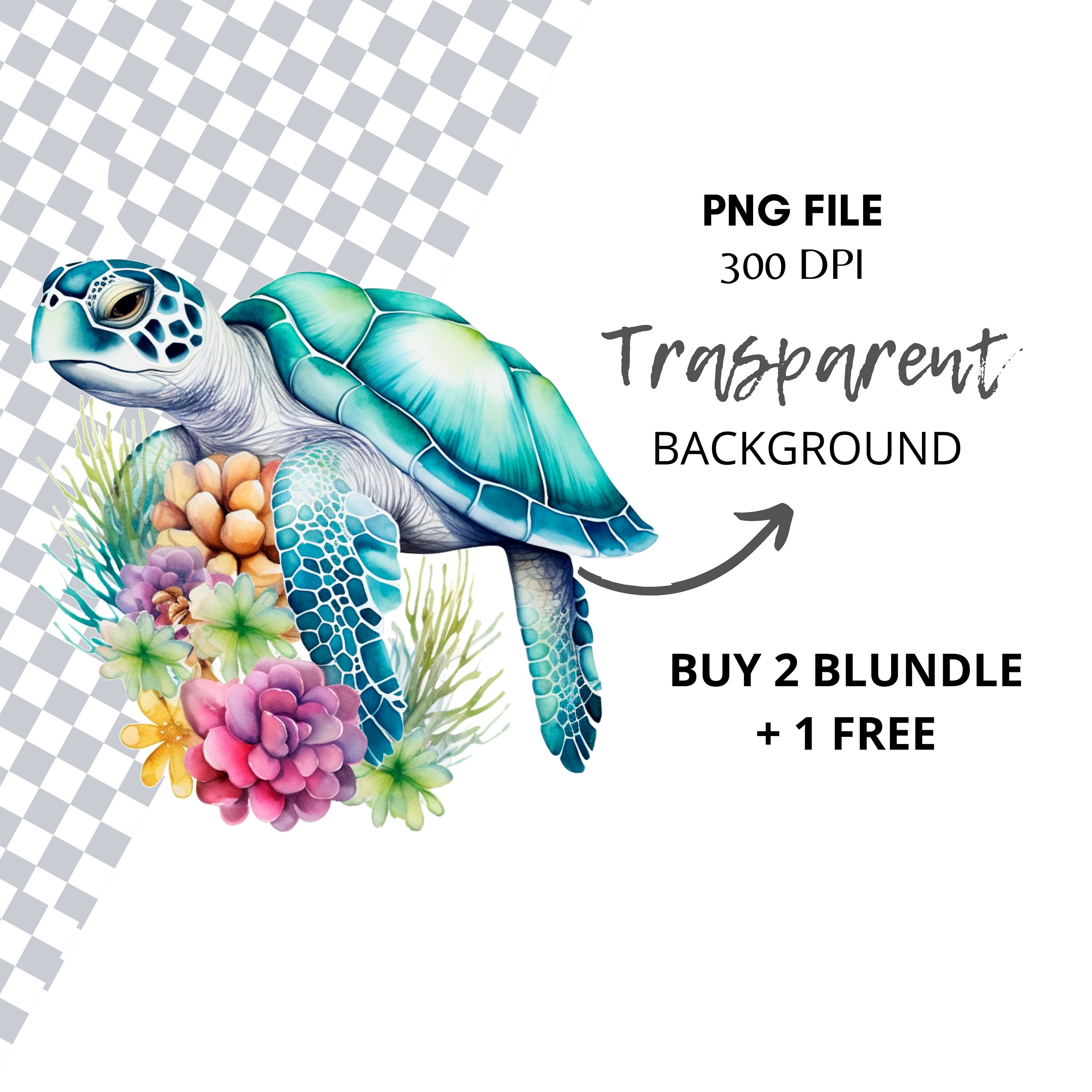 Sea Turtle Flower Clipart Png,bundle 15 High Quality Jpg,digital ...