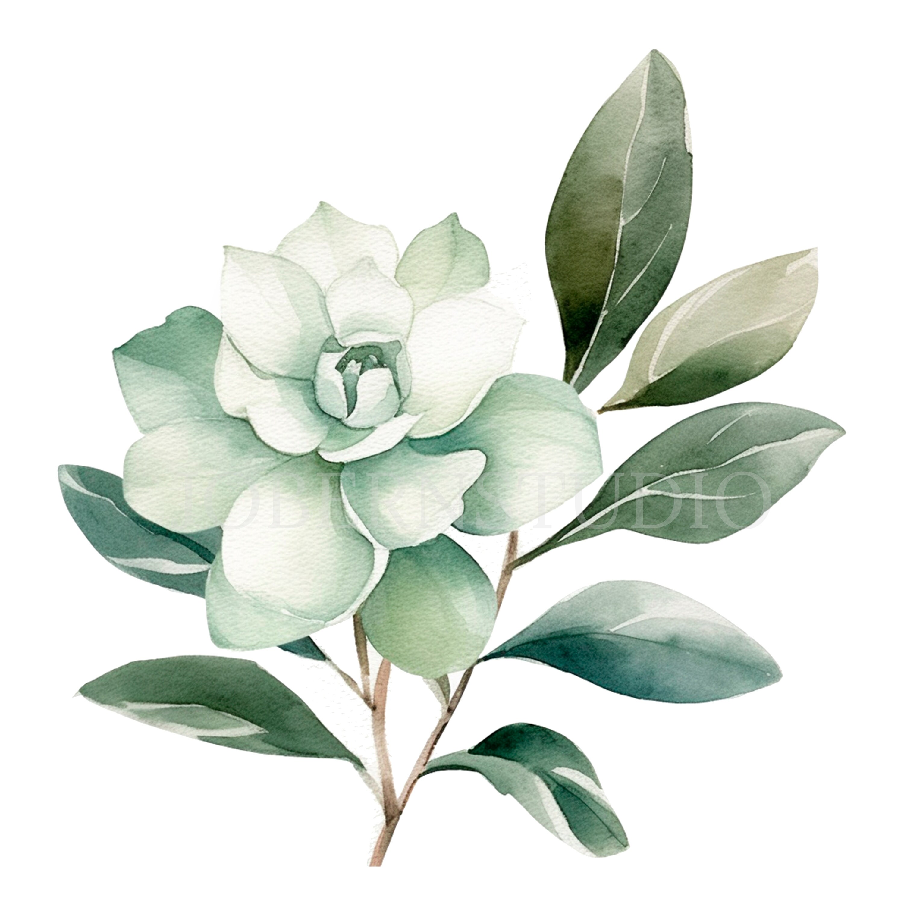 Green Flower Clipart Bundle 15 High Quality Png,watercolor Floral ...