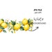 Lemon Garland Clipart Bundle 10 High Quality PNG, Watercolor Fruit ...