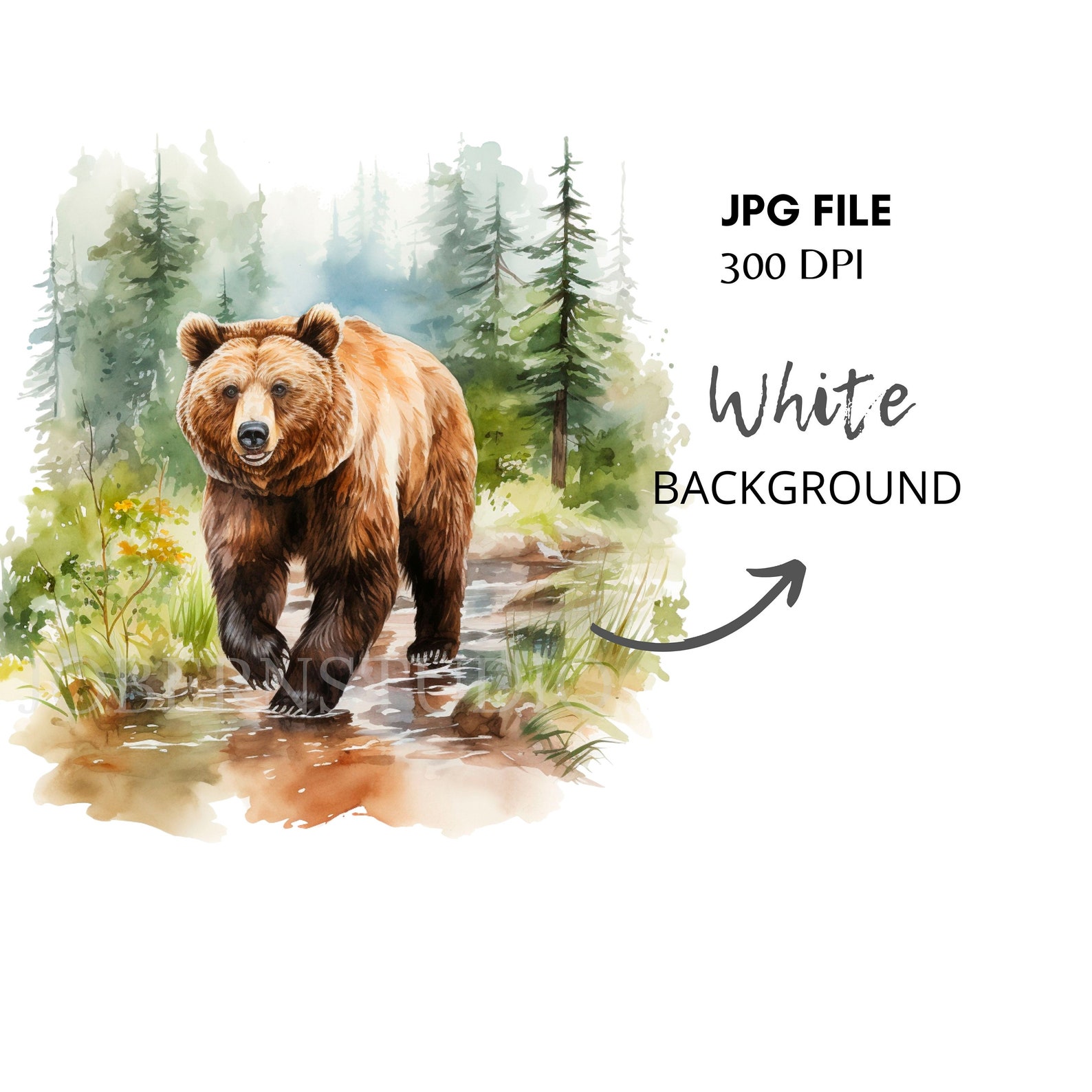 Brown Bear Forest Clipart Png,bundle 15 High Quality Jpg,digital ...