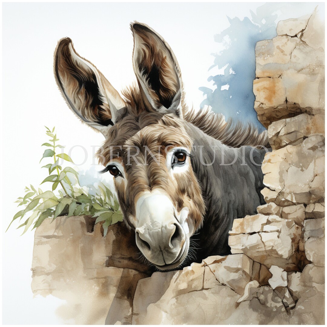 Donkey Clipart Bundle 10 High Quality Jpgs,watercolor Donkey Digital ...