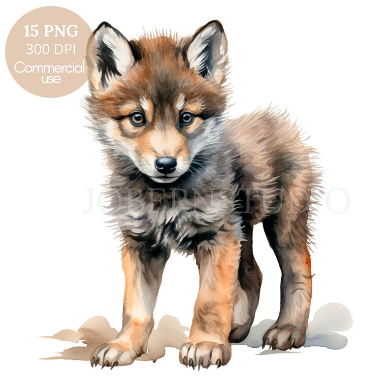 Baby Wolf Clipart Png,bundle 15 High Quality Jpg,digital Download ...