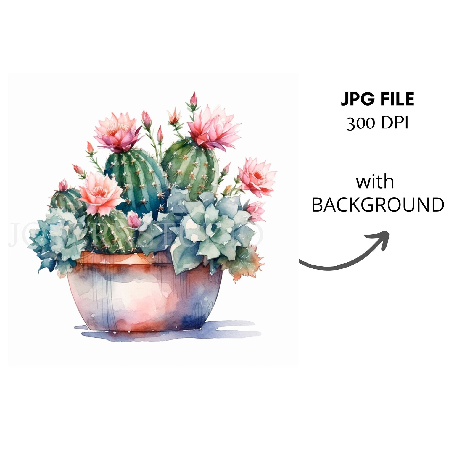 Cactus Plants Clipart Bundle 12 High Quality Png,watercolor Succulent ...