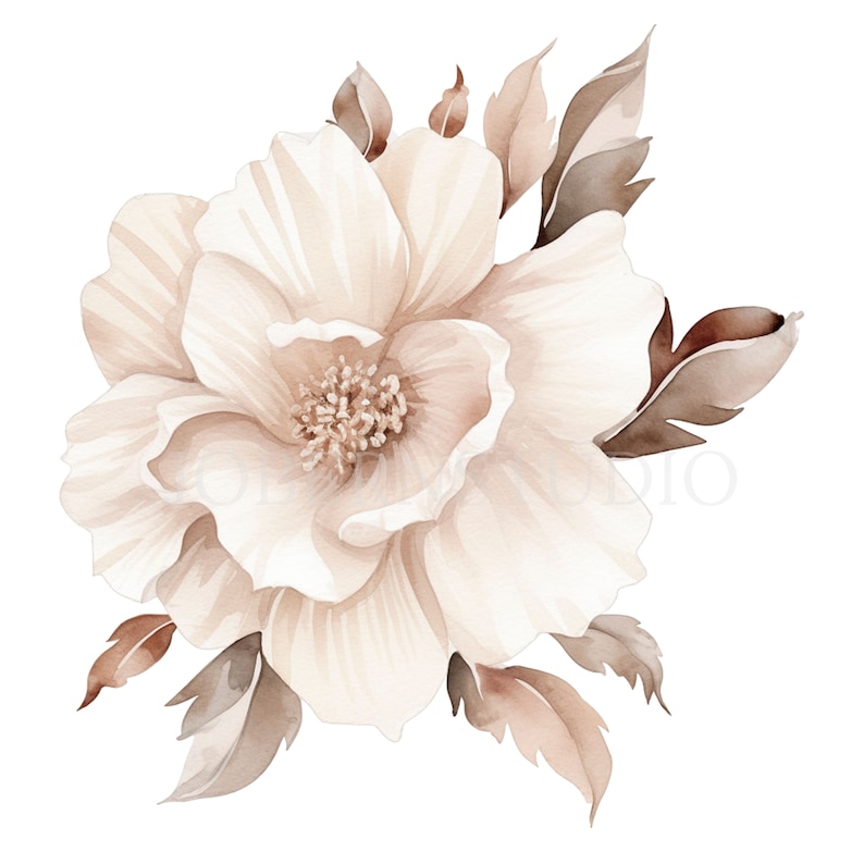 Beige Flower Clipart Bundle 15 High Quality Png,watercolor Floral ...