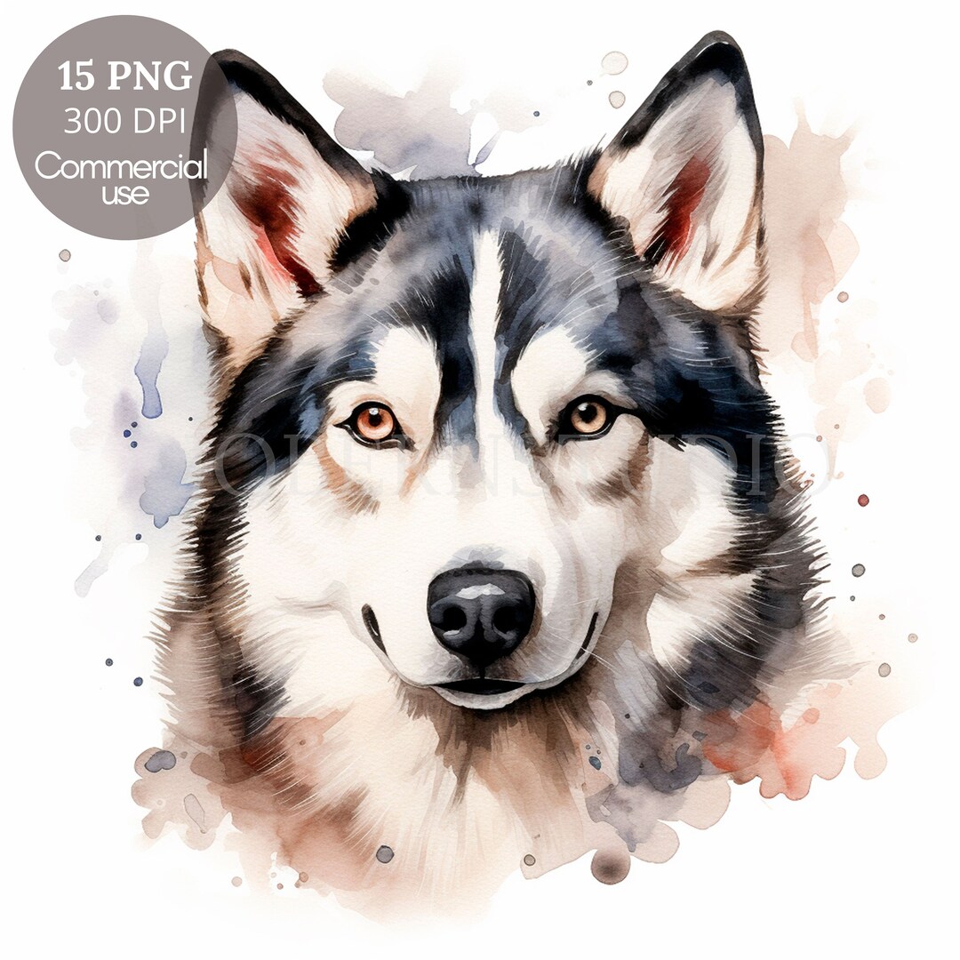 Siberian Husky Baby Dog Clipart PNG Bundle 15 High Quality,digital Download,printable Stickers ...