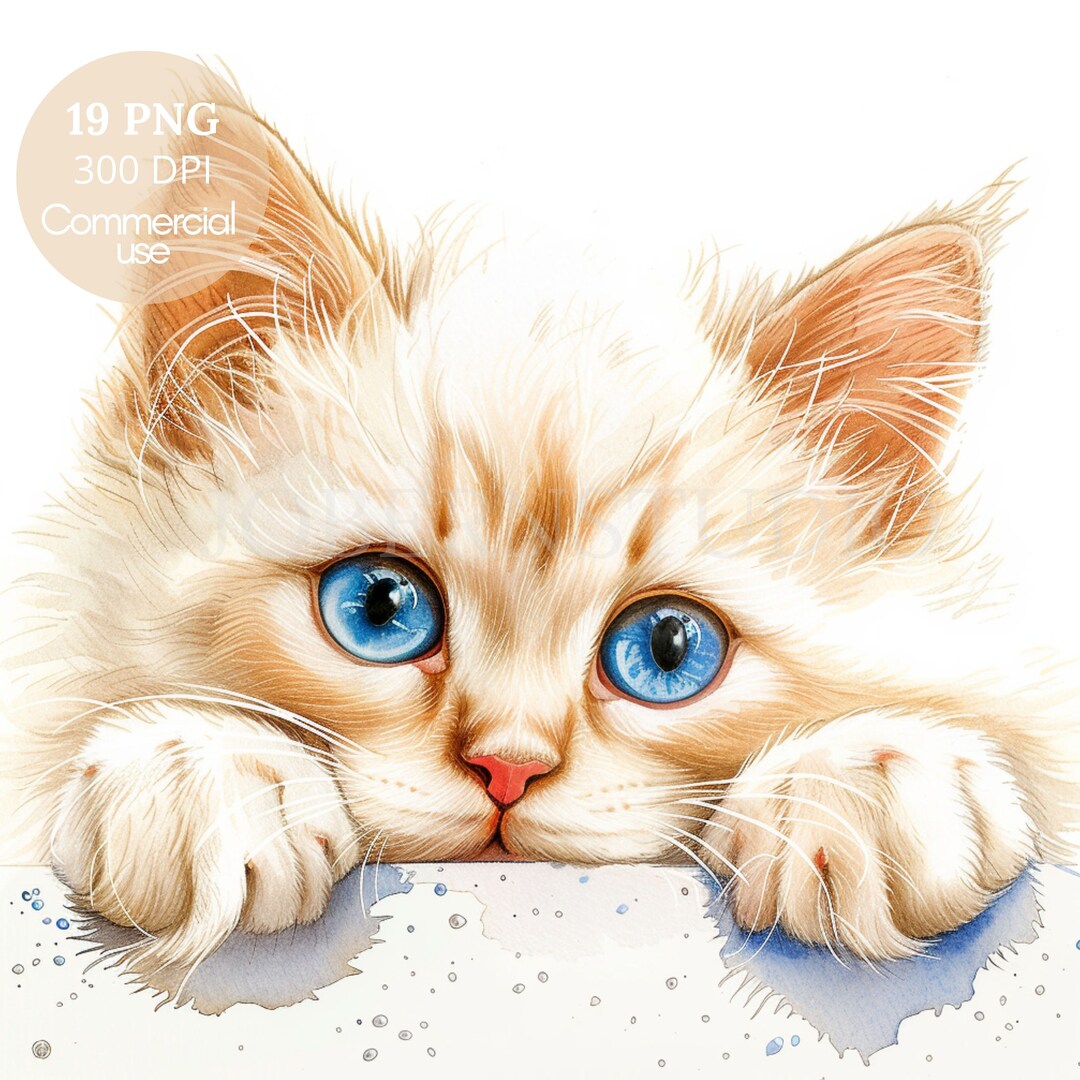 Watercolor Funny Cats Clipart PNG Bundle 19 High Quality Png,crazy Cute ...
