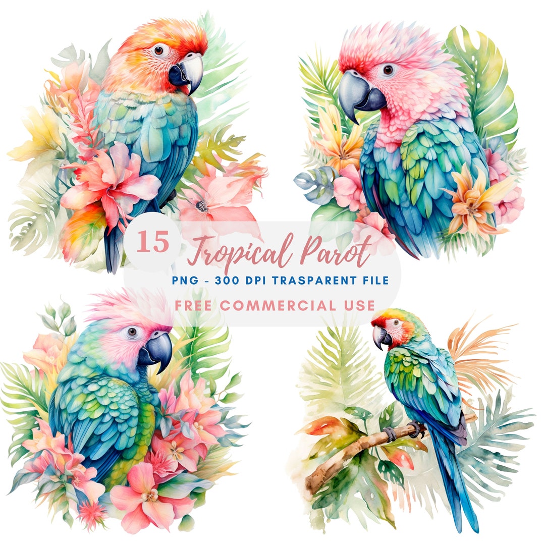 Parot Clipart PNG Bundle 15 High Quality Jpg,watercolor Tropical Bird ...
