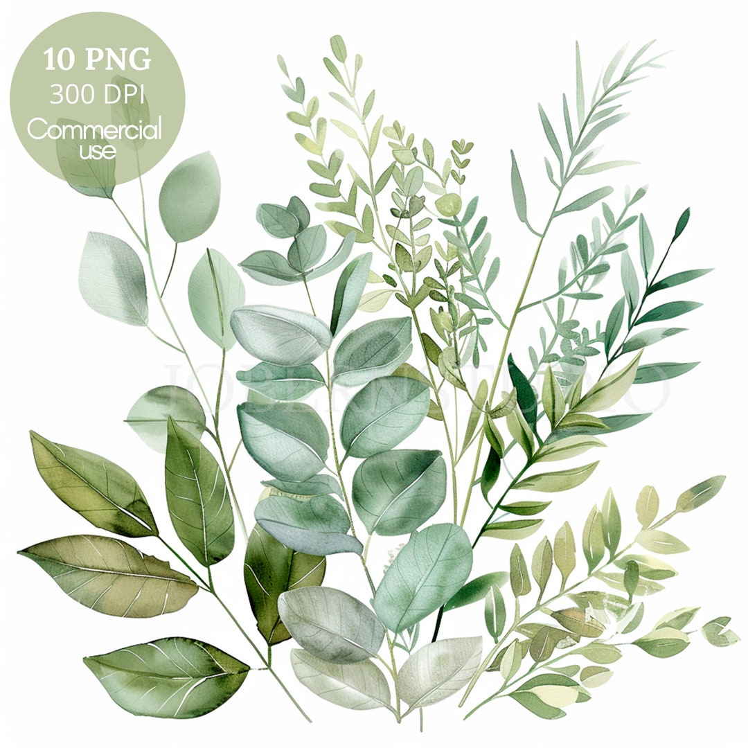 Green Leaves Bouquet Clipart Bundle 10 High Quality Png,watercolor ...