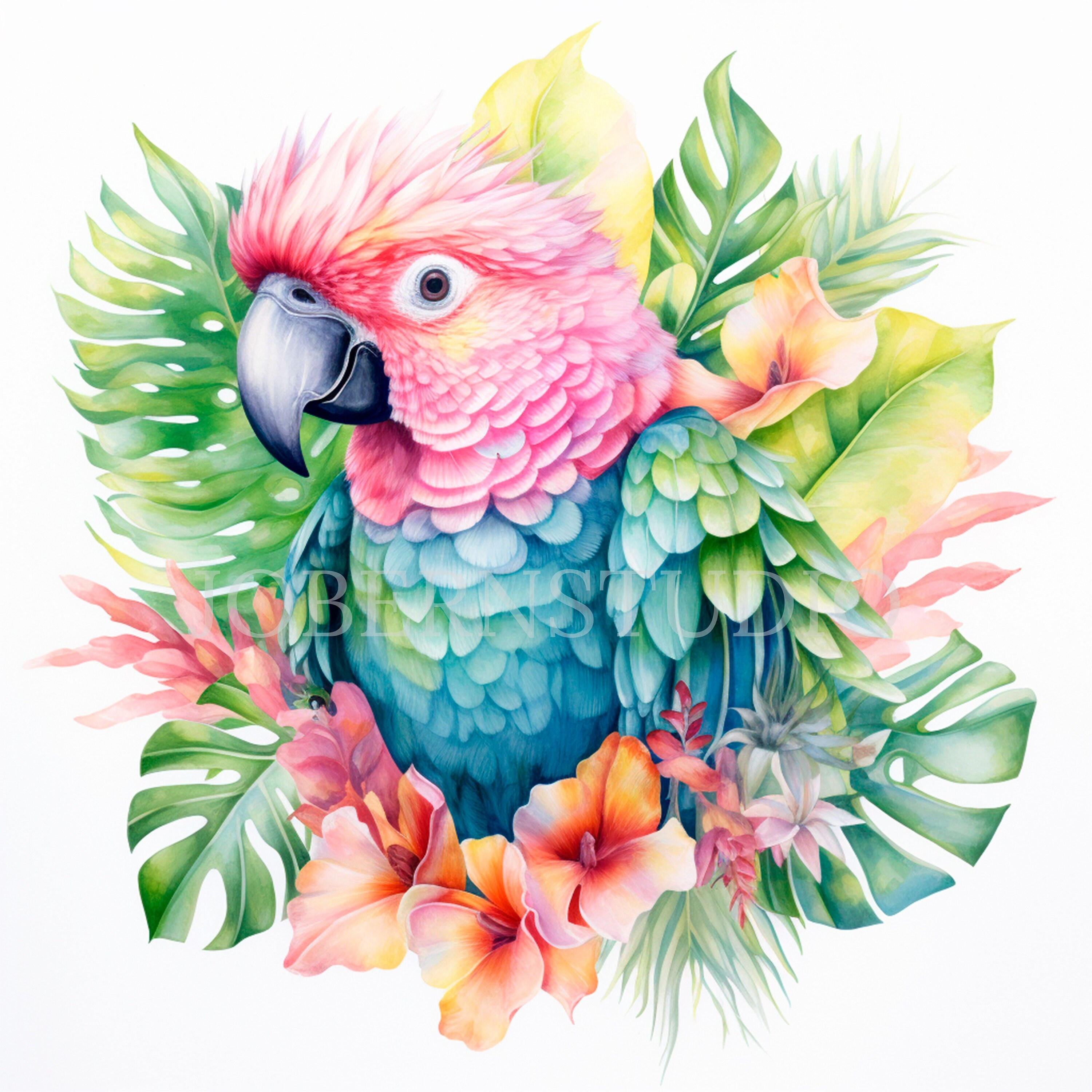 Parot Clipart PNG Bundle 15 High Quality Jpg,watercolor Tropical Bird ...