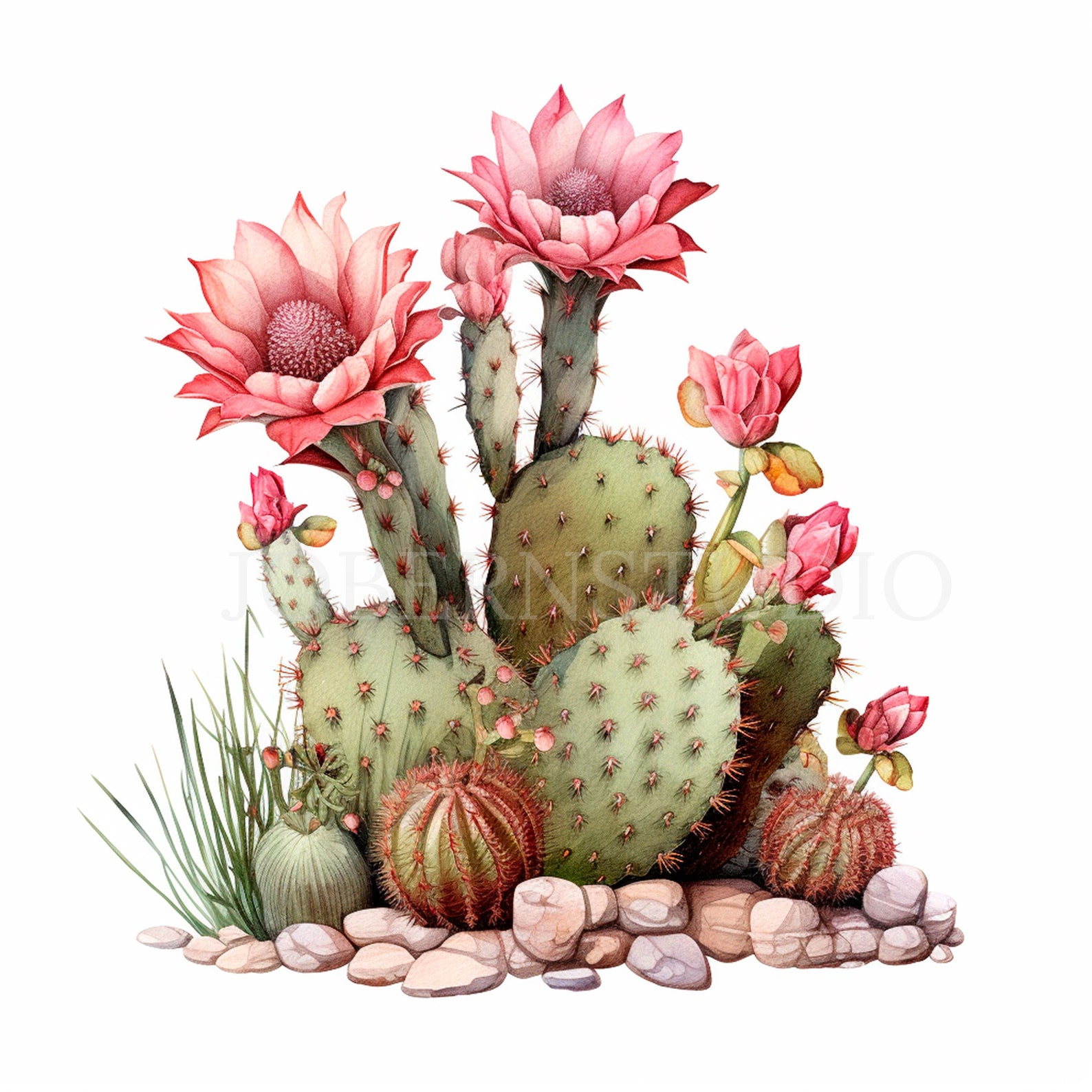 Pink Cactus Clipart Bundle 10 High Quality JPG ,watercolor Home Decor ...