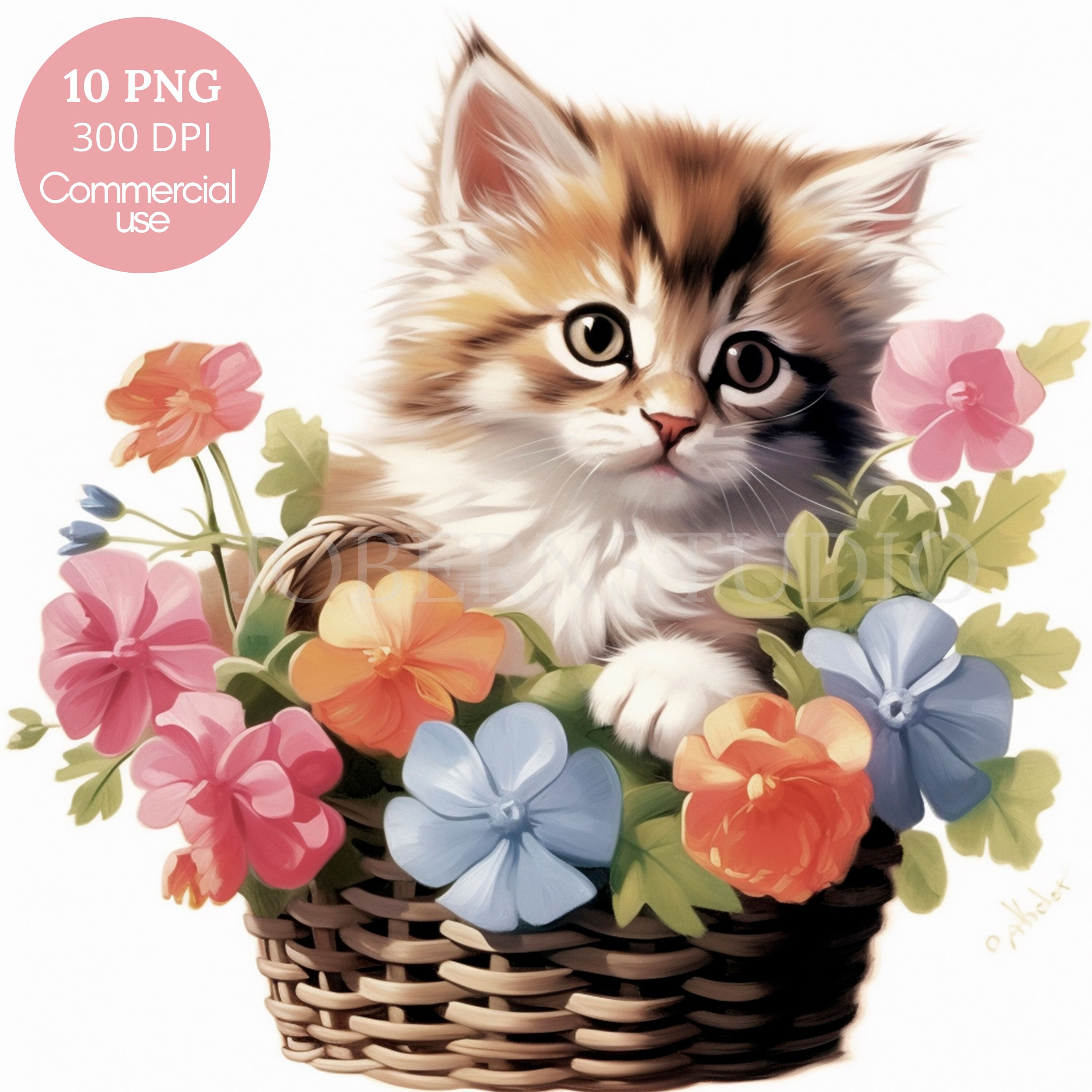 Cat and Flower Clipart PNG Bundle 13 High Quality JPG, Watercolor Funny ...