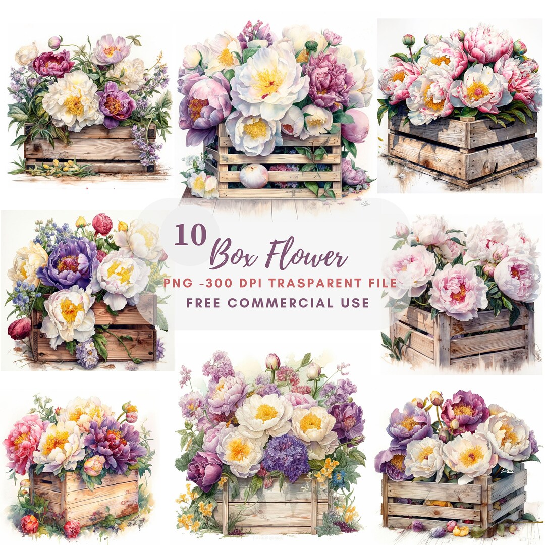 Box Flower Clipart Bundle 10 High Quality PNG, Watercolor Flower ...