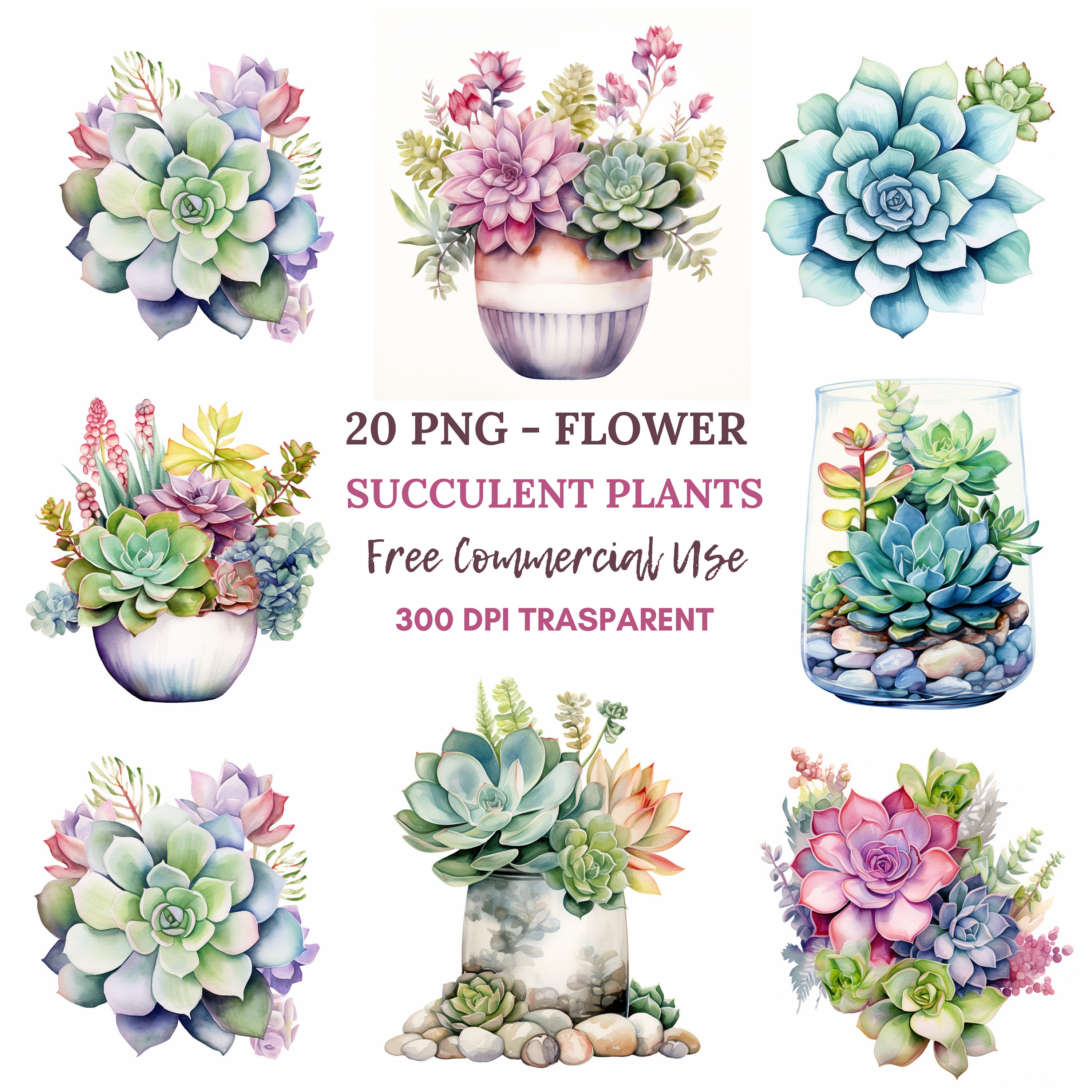 Succulent Plants Clipart Bundle 20 High Quality Png,watercolor Floral ...