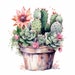 Cactus Plants Clipart Bundle 12 High Quality Png,watercolor Succulent ...