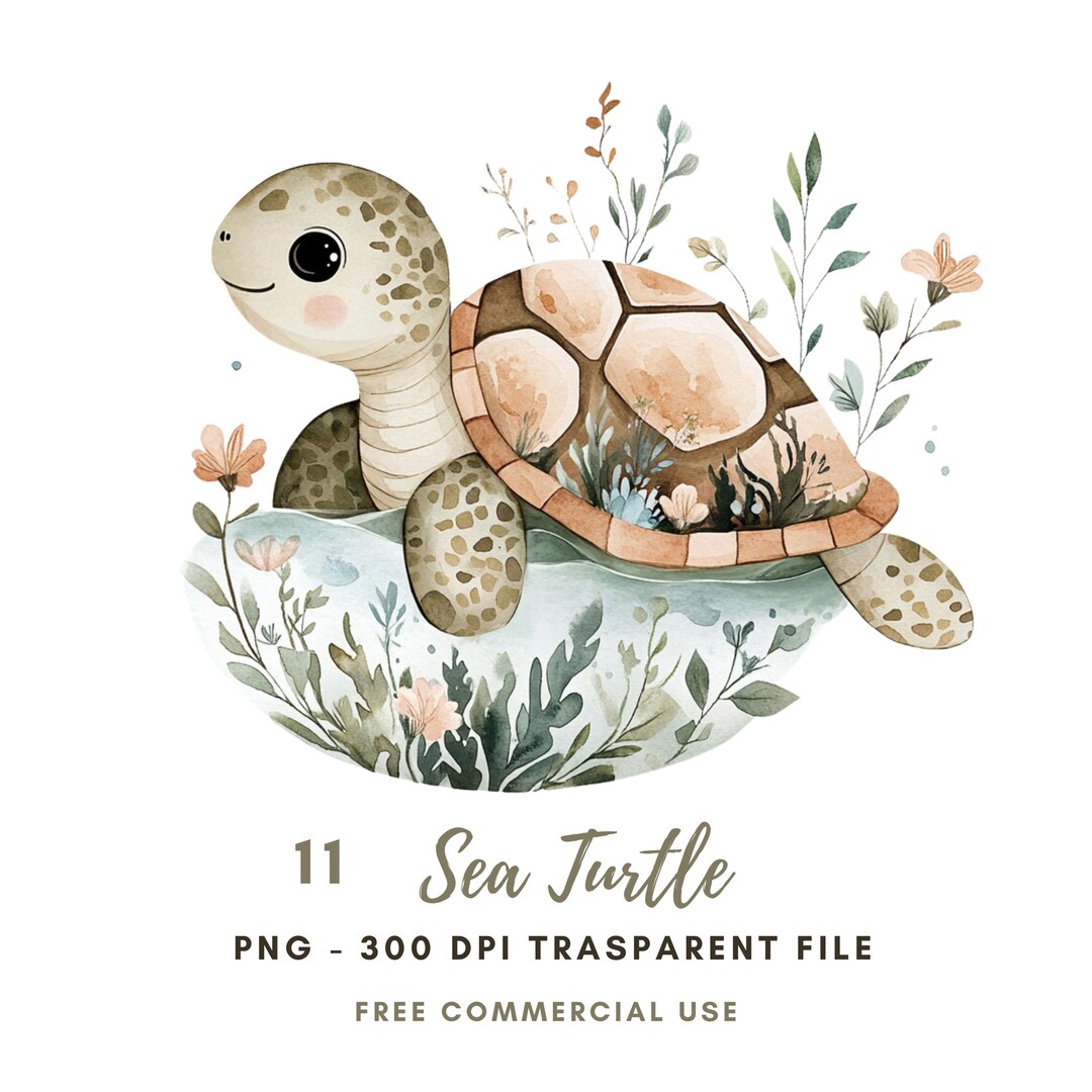 Sea Turtle Clipart Png,bundle 11 High Quality Png,watercolor Sea Turtle ...
