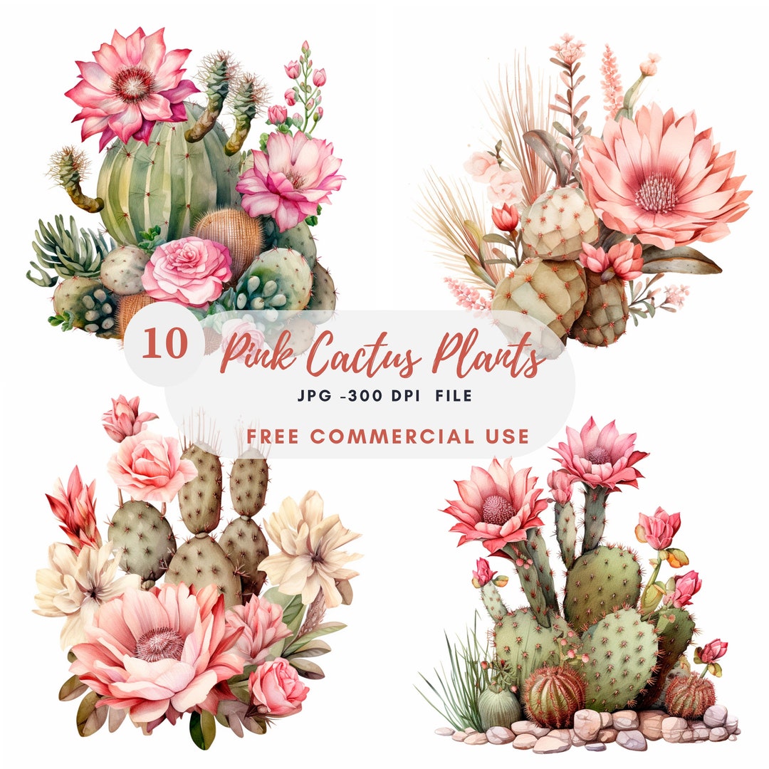 Pink Cactus Clipart Bundle 10 High Quality JPG ,watercolor Home Decor ...