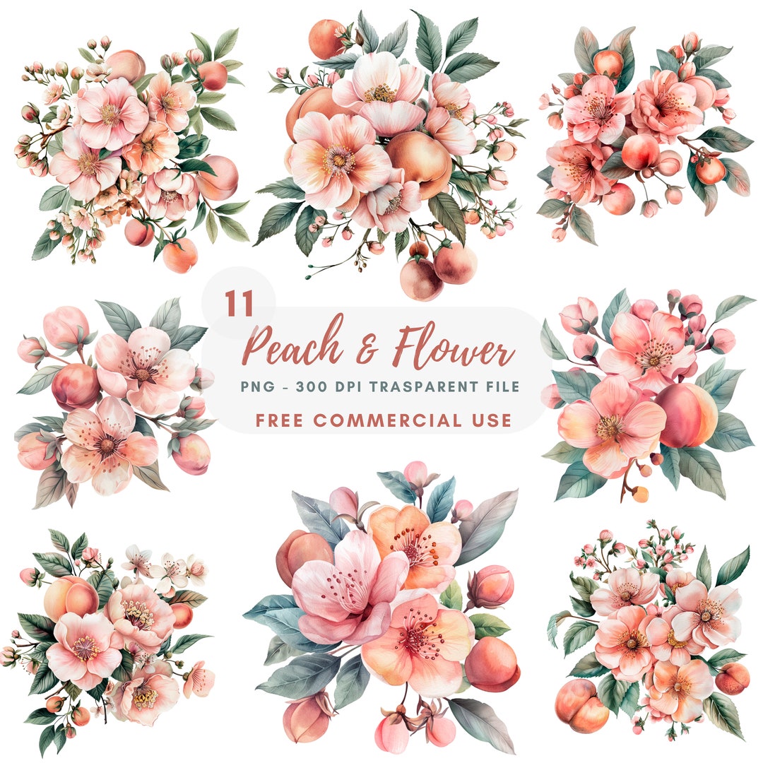 Peach Rose Branch Garland Clipart Bundle 11 High Quality, Watercolor ...