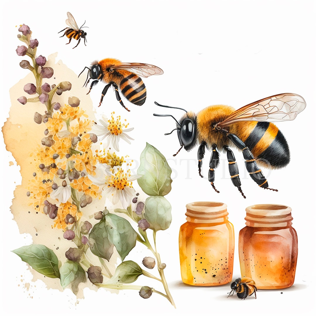Bees and Honey Clipart PNG Bundle 13 High Quality JPG, Vintage Bee ...