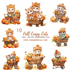 Funny Autumn Cat Clipart PNG Bundle 11 High Quality PNG, Watercolor ...