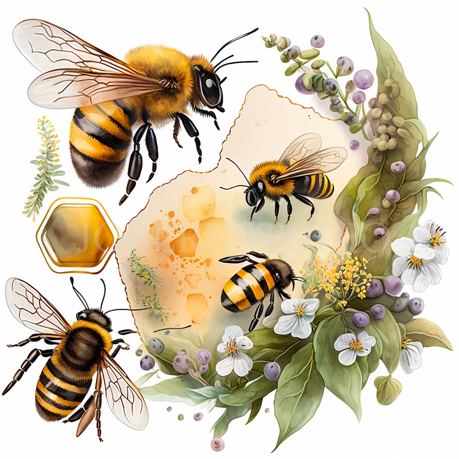 Bees and Honey Clipart PNG Bundle 13 High Quality JPG, Vintage Bee ...