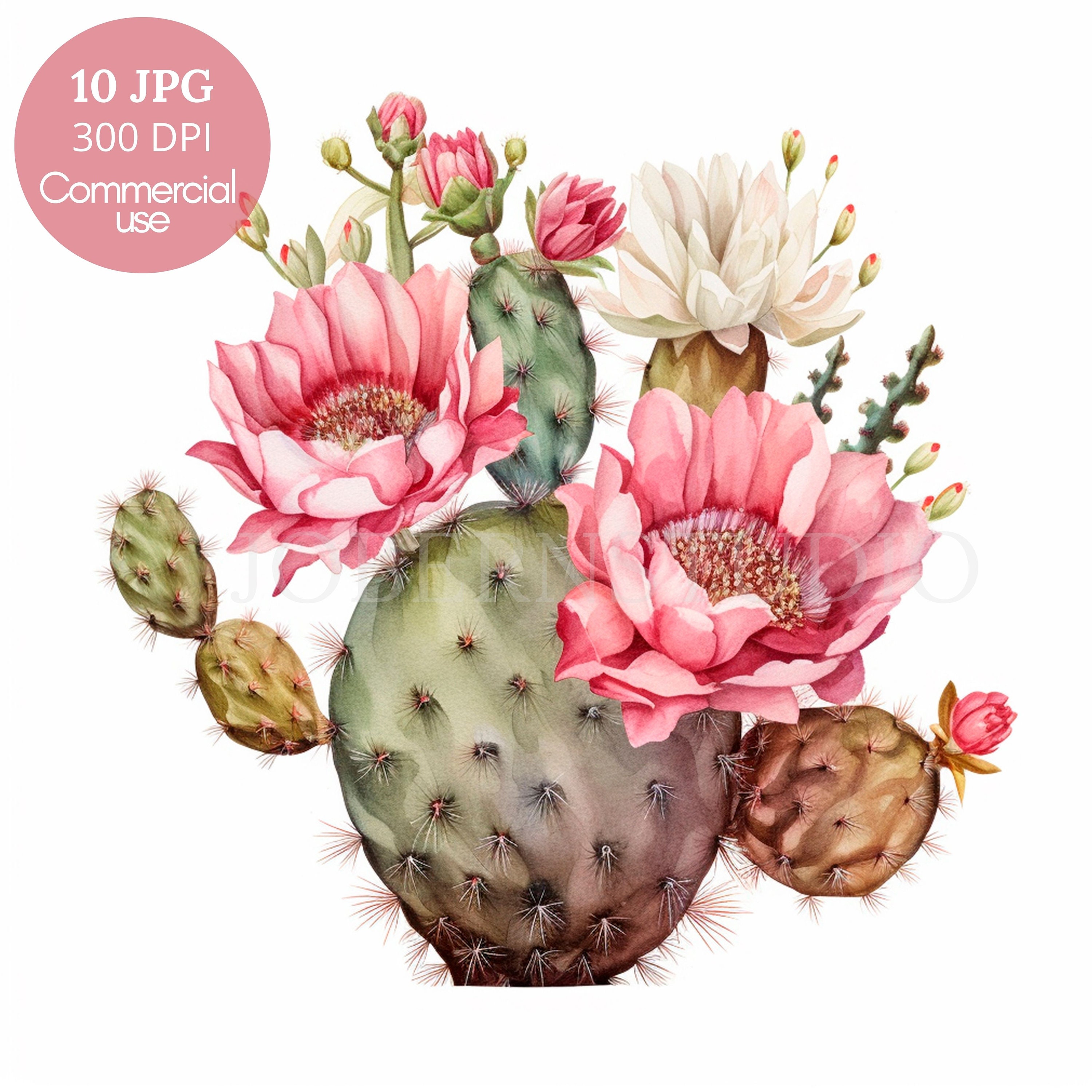 Pink Cactus Clipart Bundle 10 High Quality JPG ,watercolor Home Decor ...