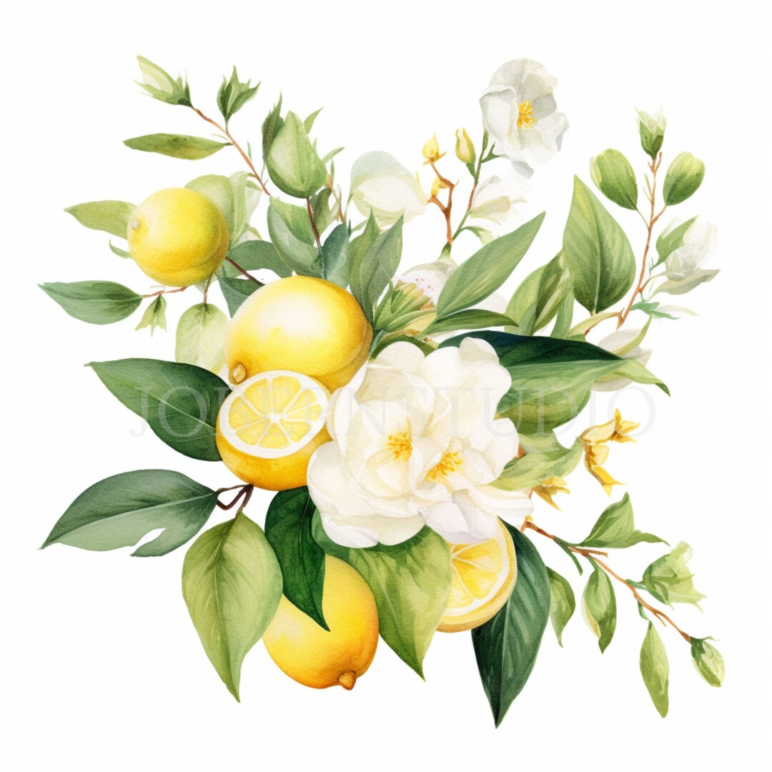 Lemon Rose Branch Garland Clipart Bundle 10 High Quality, Watercolor ...