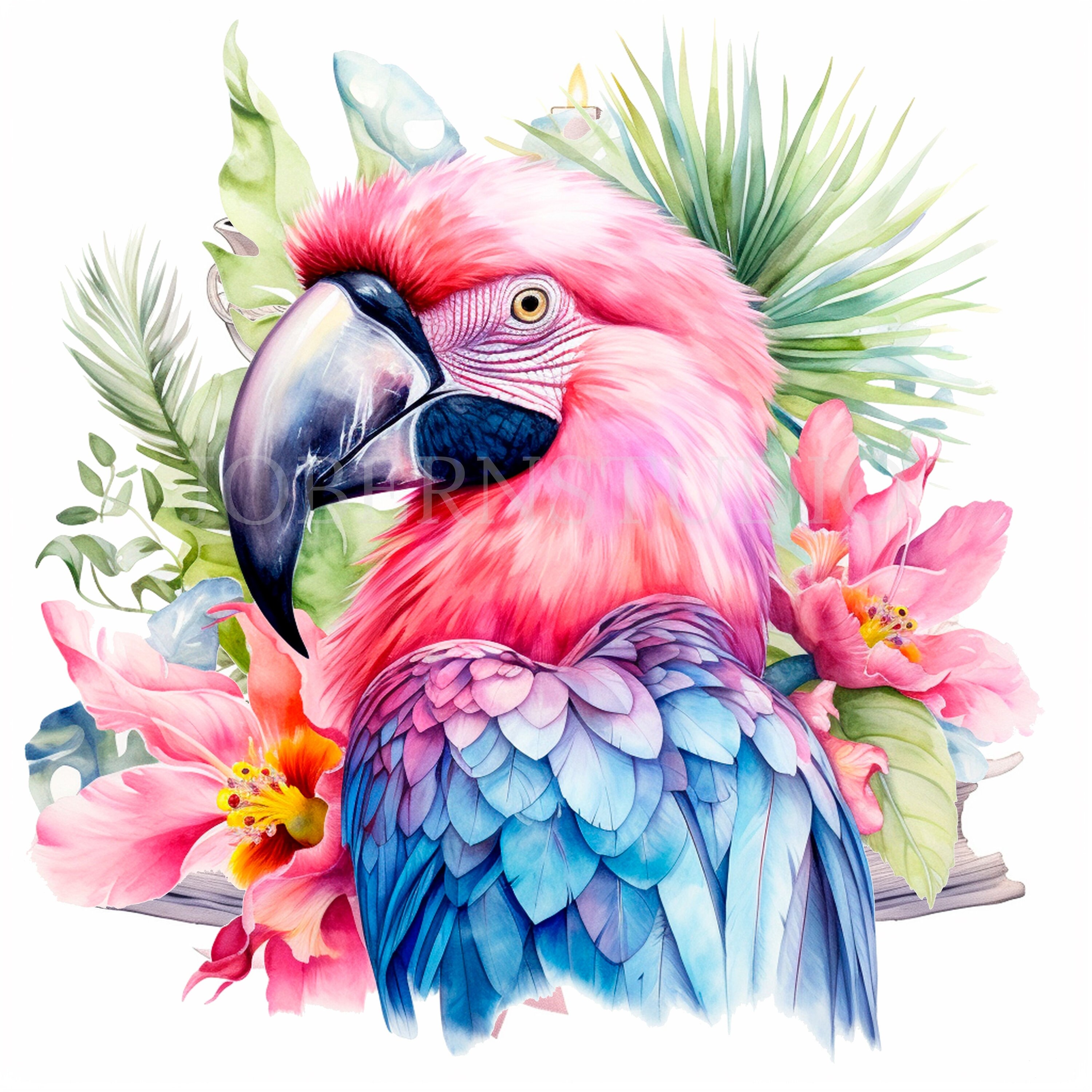 Parot Clipart PNG Bundle 15 High Quality Jpg,watercolor Tropical Bird ...