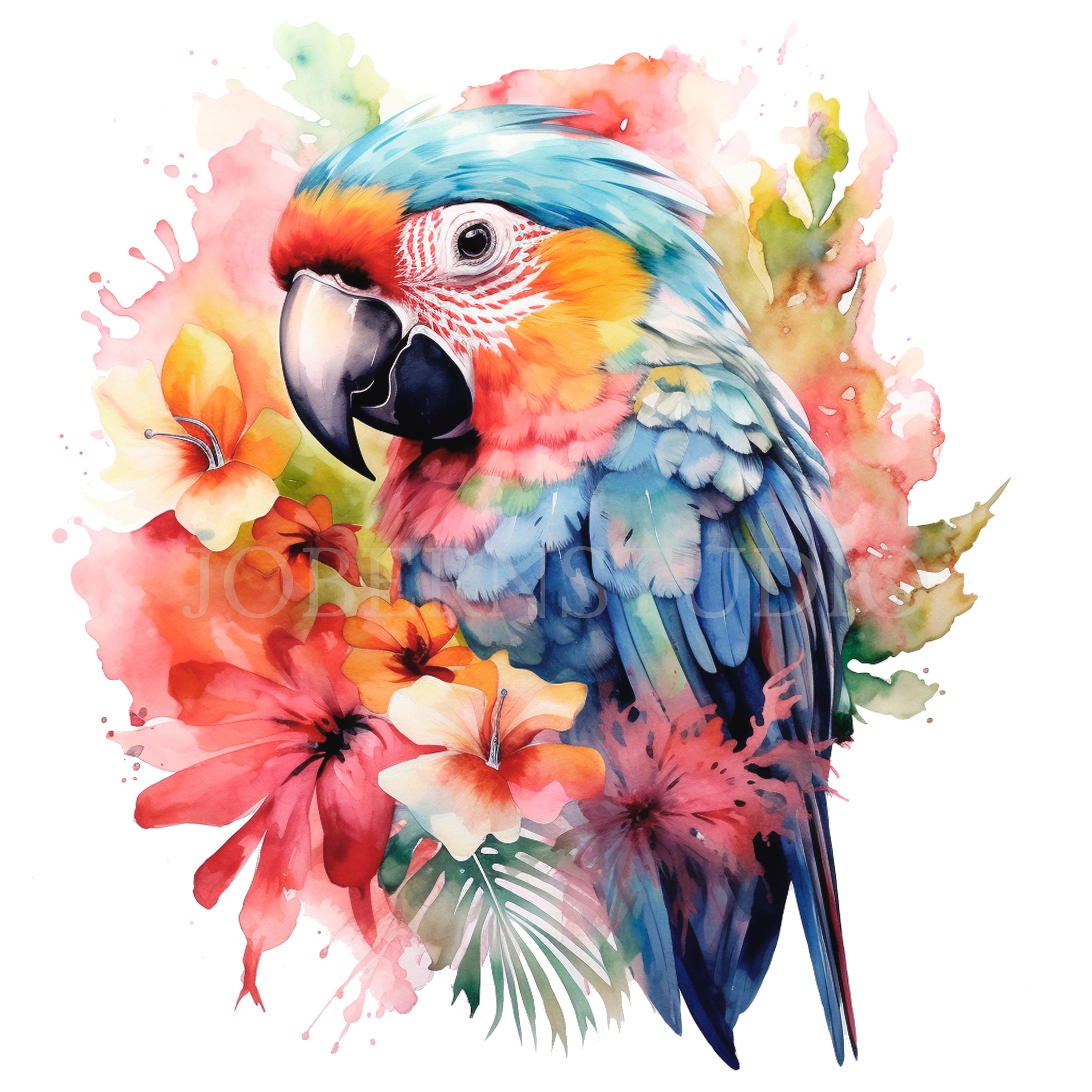 Parot Clipart PNG Bundle 15 High Quality Jpg,watercolor Tropical Bird ...
