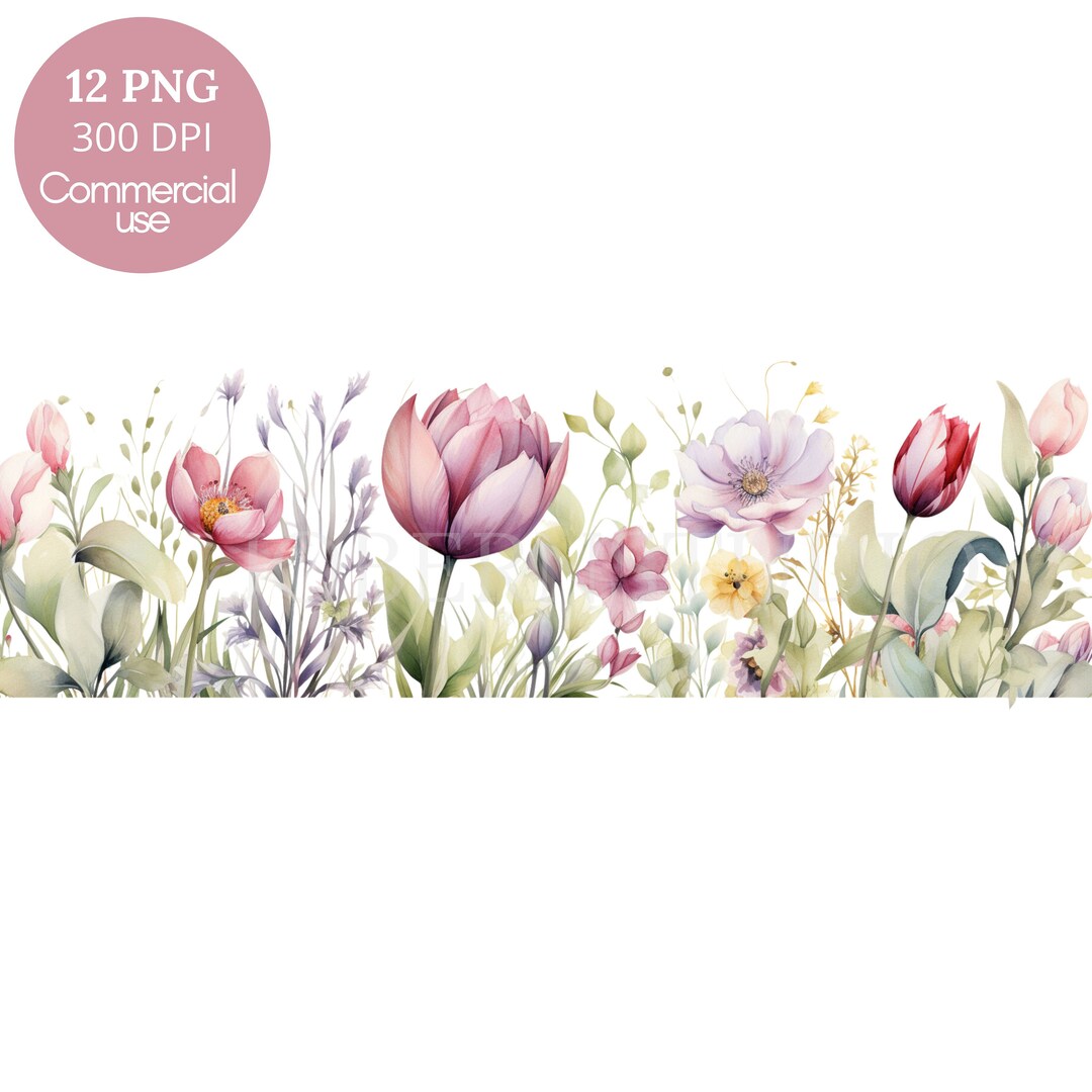 Tulips Flower Border Clipart Bundle 12 High Quality PNG, Watercolor ...