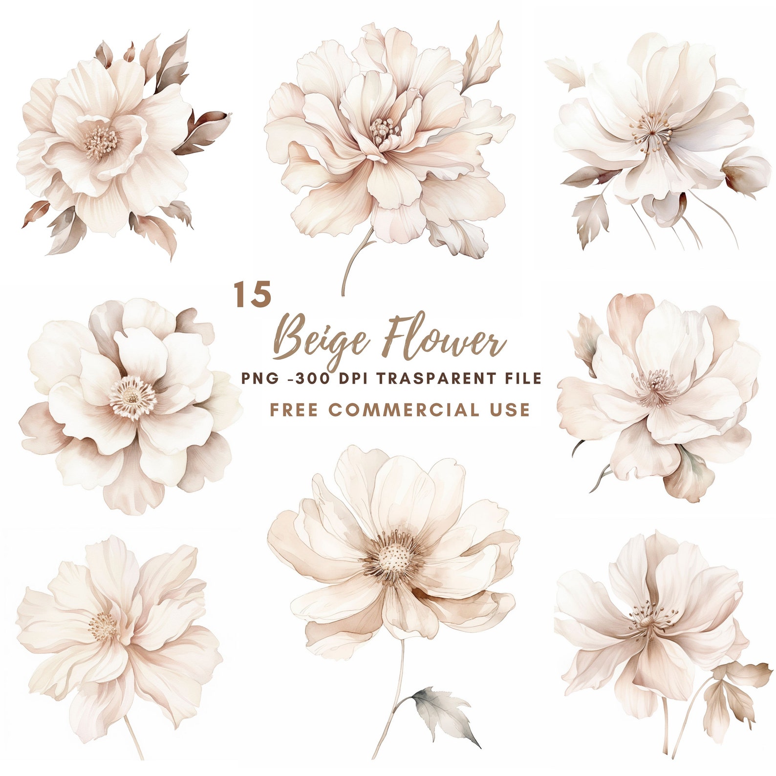 Beige Flower Clipart Bundle 15 High Quality Png,watercolor Floral ...