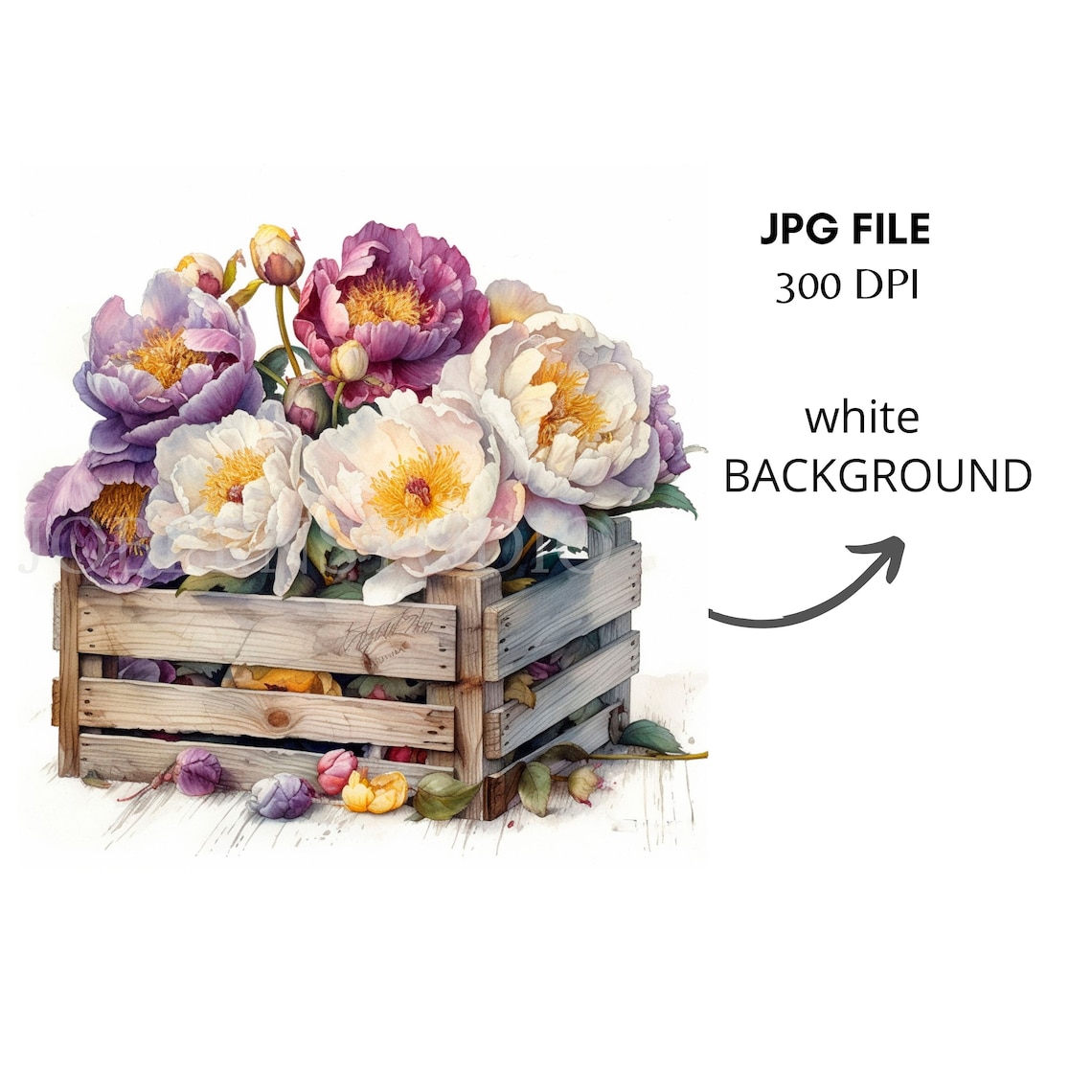 Box Flower Clipart Bundle 10 High Quality PNG, Watercolor Flower ...