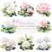 Lotus Flower Clipart Bundle 20 High Quality,watercolor Water Floral ...