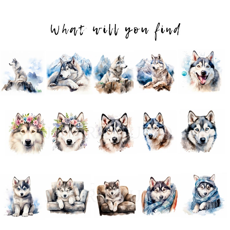 Siberian Husky Baby Dog Clipart PNG Bundle 15 High Quality,digital Download,printable Stickers ...