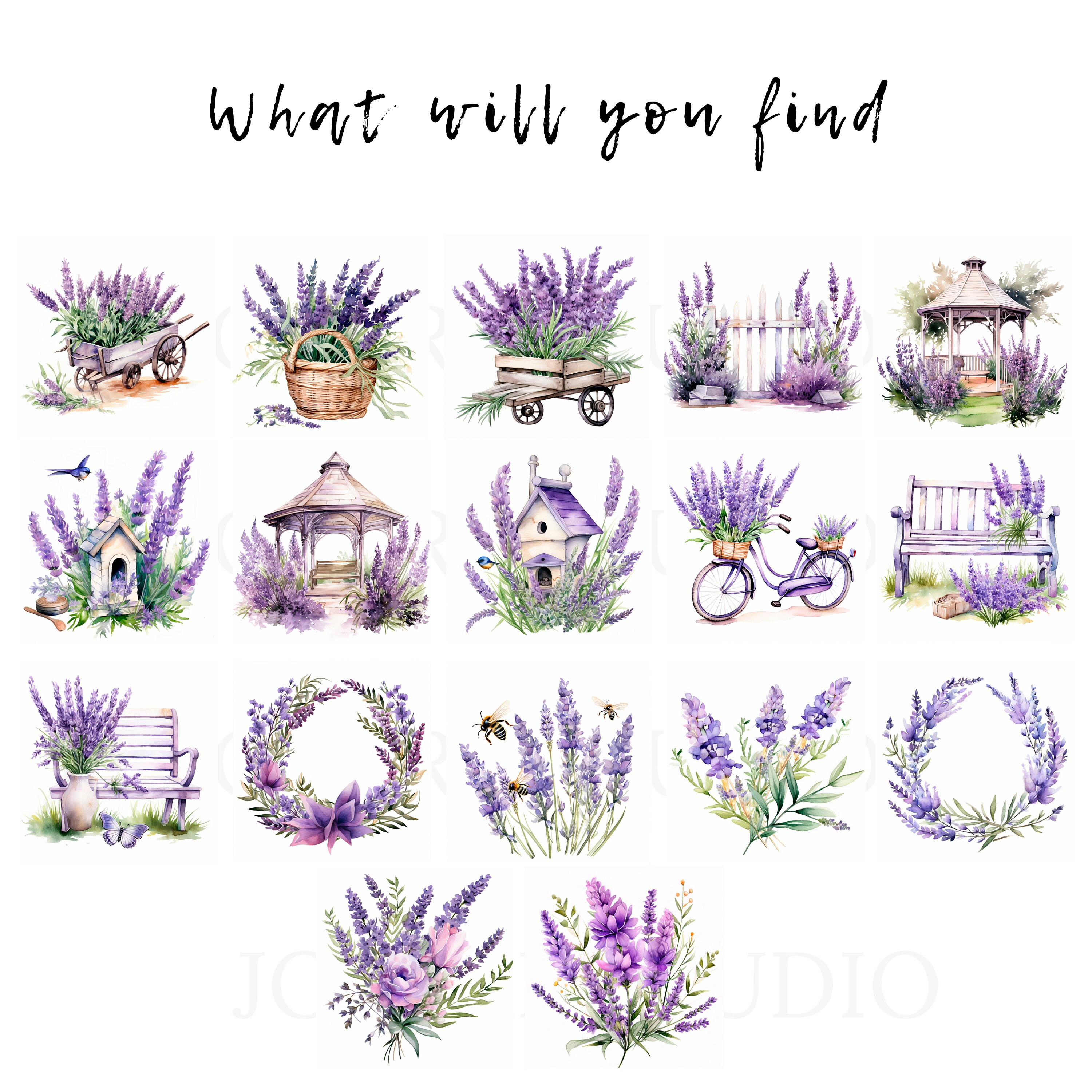 Lavender Clipart Bundle 17 High Quality Png,watercolor Flower Provence ...
