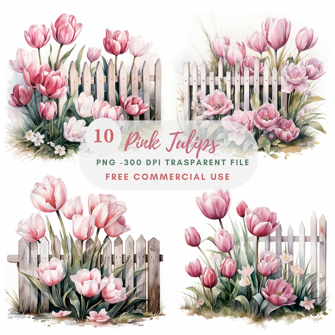 Tulips Flower Border Clipart Bundle 10 High Quality PNG, Watercolor ...