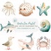 Undersea Clipart PNG, Bundle 37 High Quality,watercolor Sea Fish ...