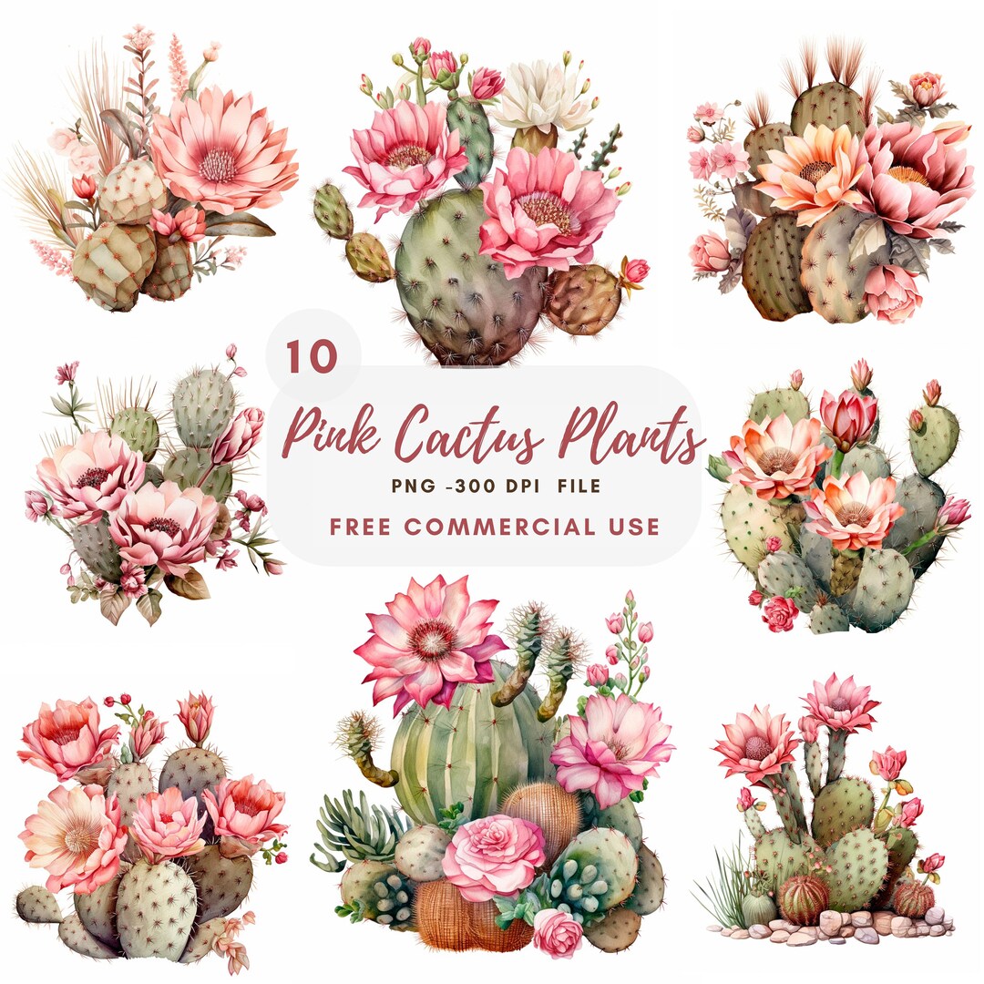 Pink Cactus Clipart Bundle 10 High Quality JPG ,watercolor Home Decor ...
