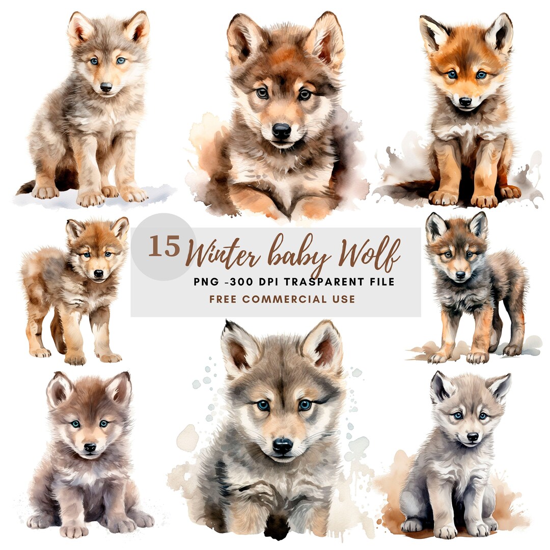 Baby Wolf Clipart Png,bundle 15 High Quality Jpg,digital Download ...