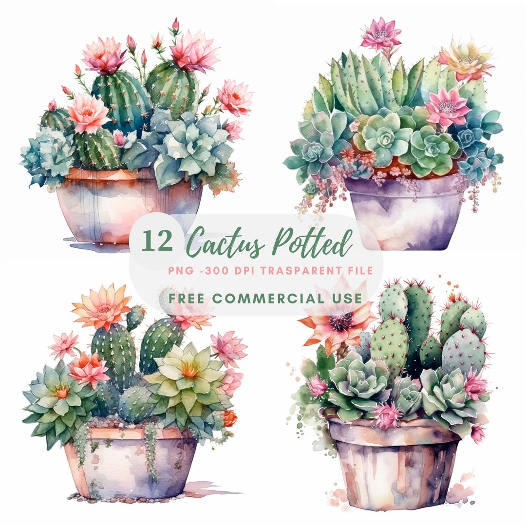 Cactus Plants Clipart Bundle 12 High Quality Png,watercolor Succulent ...