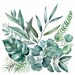 Green Leaves Bouquet Clipart Bundle 10 High Quality Png,watercolor ...