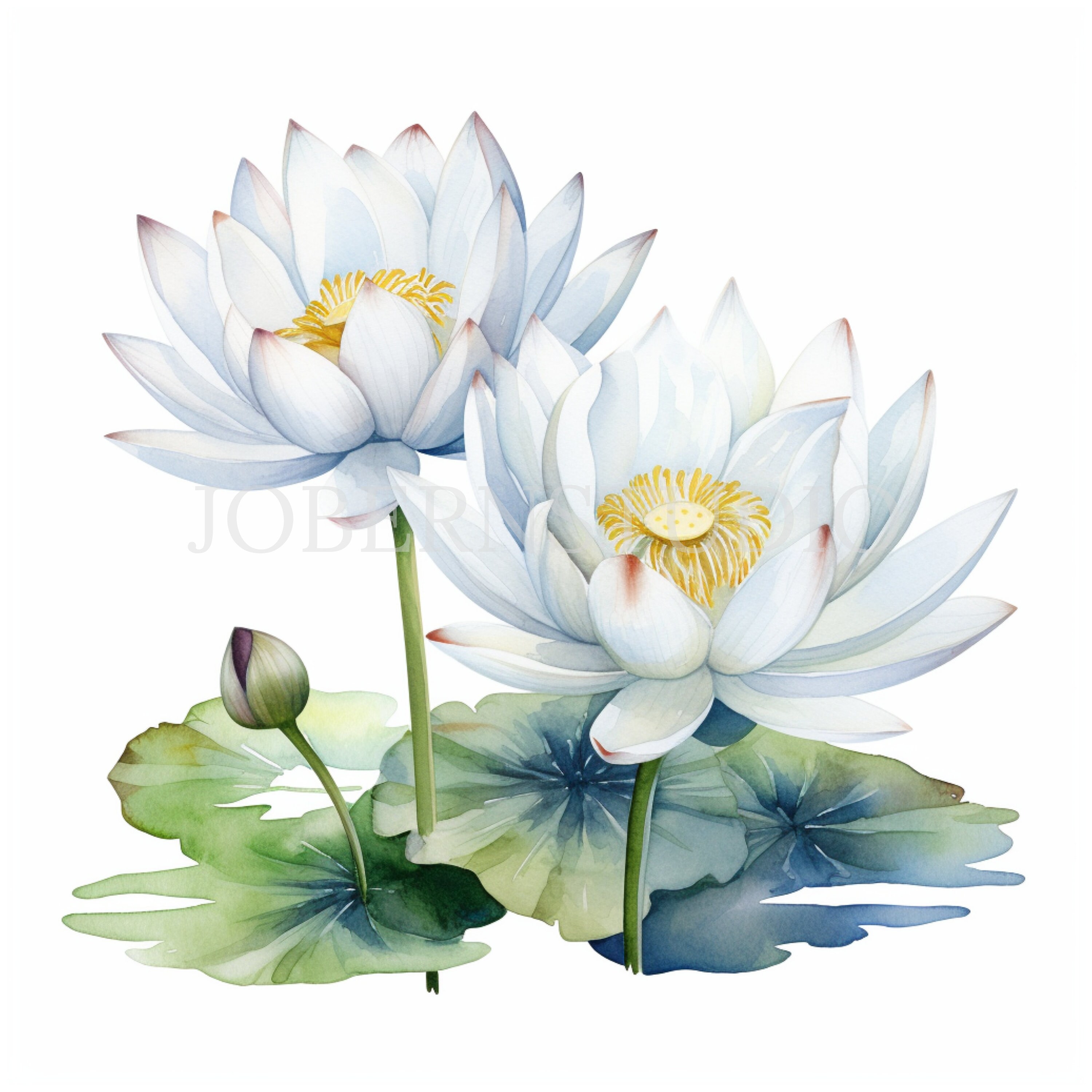 Lotus Flower Clipart Bundle 20 High Quality,watercolor Water Floral ...